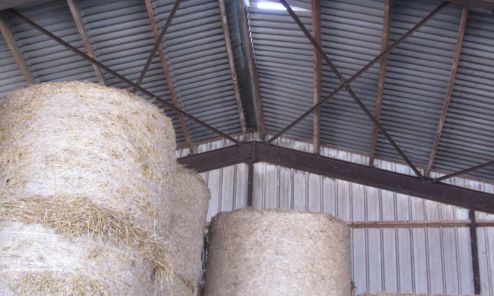 Mafrel : Hangar standard